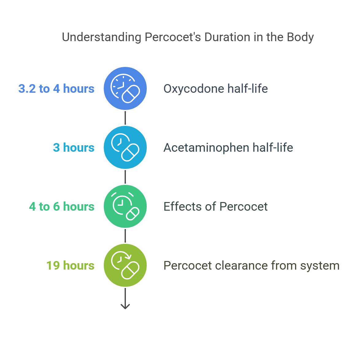 How Long Does Percocet Stay In Your System? - Relevance Recovery